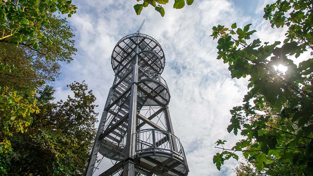 Rašica (Stane Kosec peak - 641 m) & Visit Ljubljana