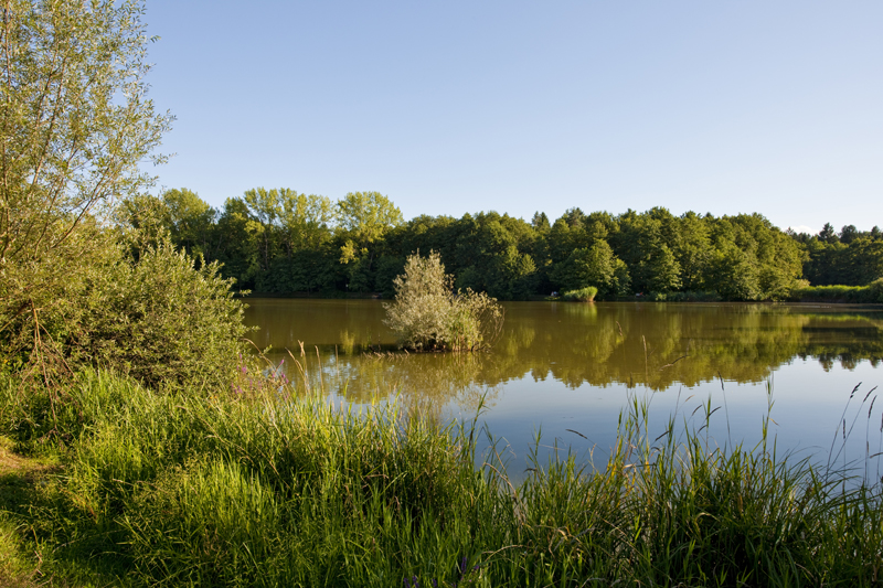 Koseze Pond & Visit Ljubljana