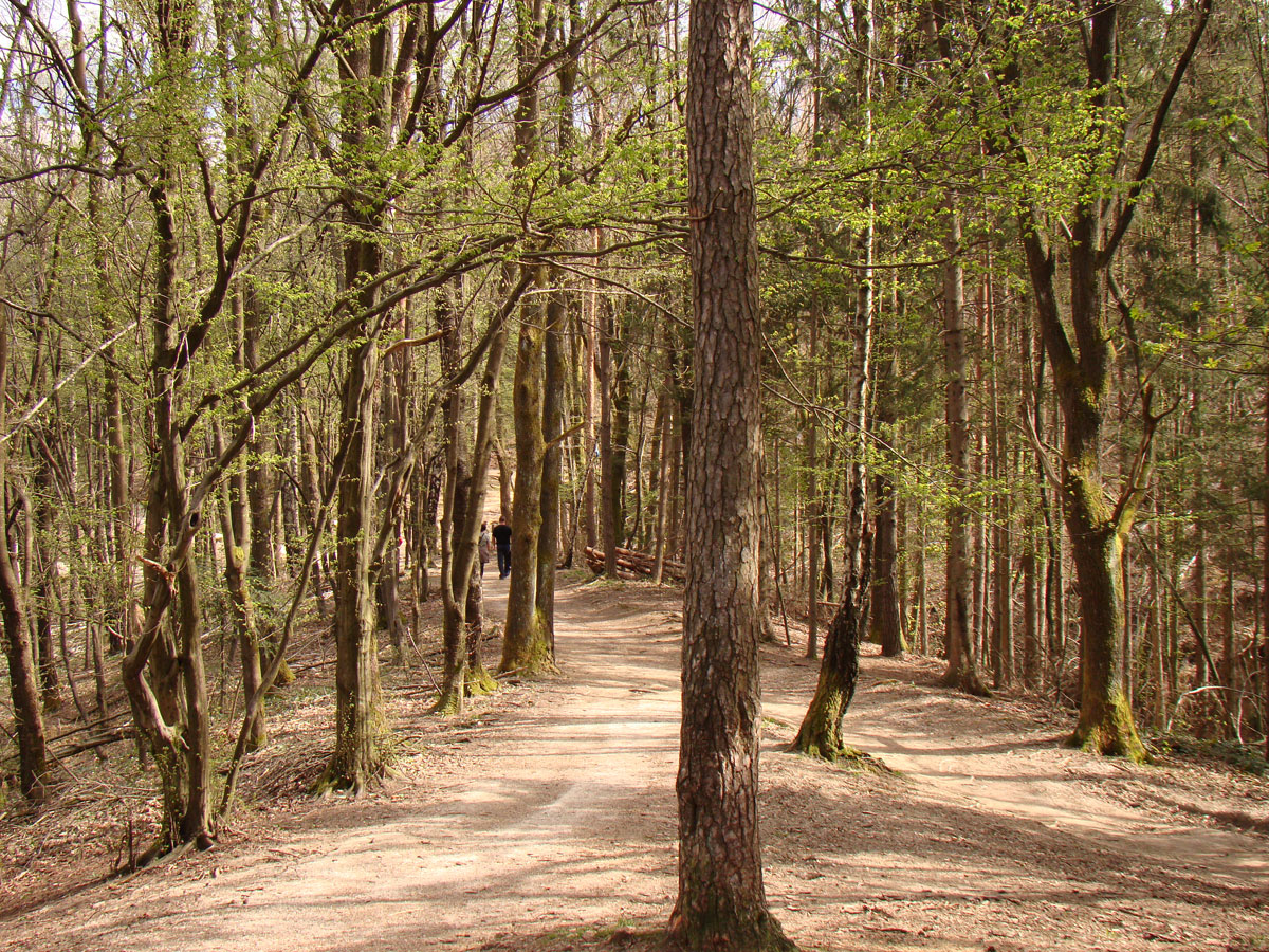 Rekreacijski center Mostec & Visit Ljubljana