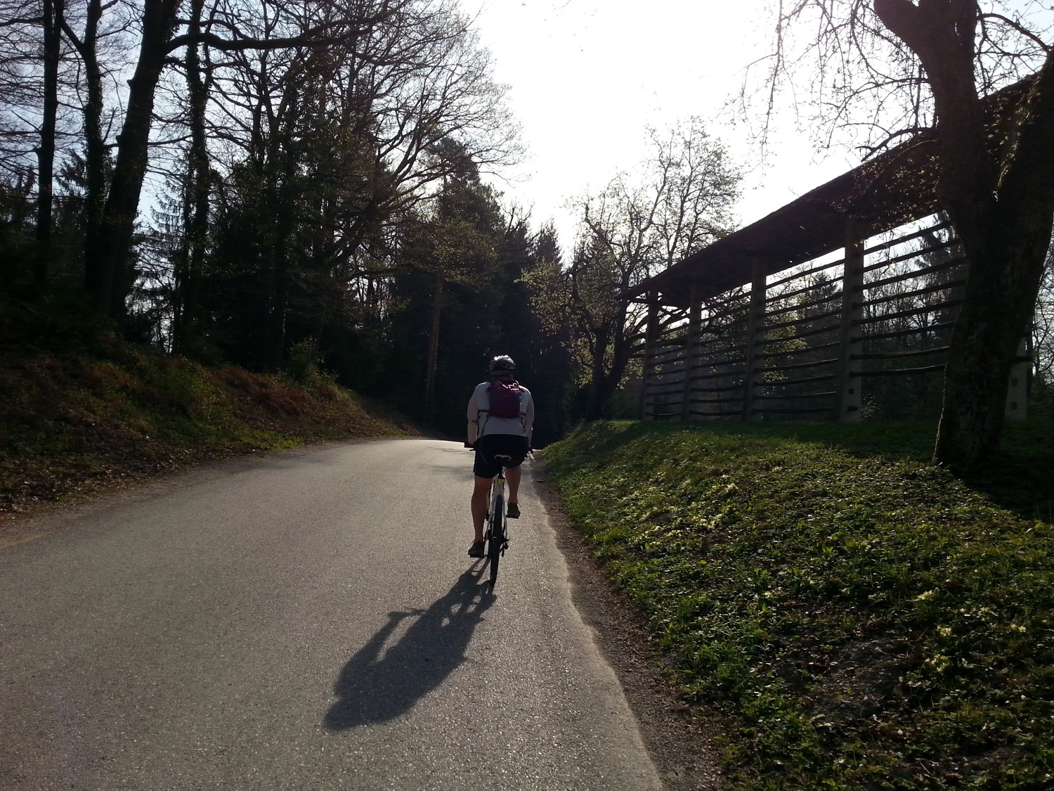 Turjak Castle and Countryside Cycling & Visit Ljubljana