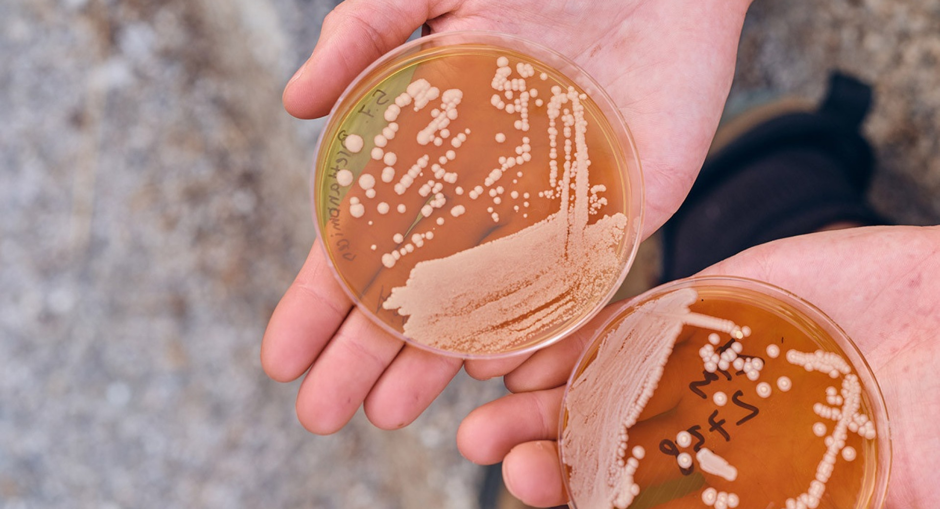 MMM STORIES: Barut Brewing and Blending & Visit Ljubljana