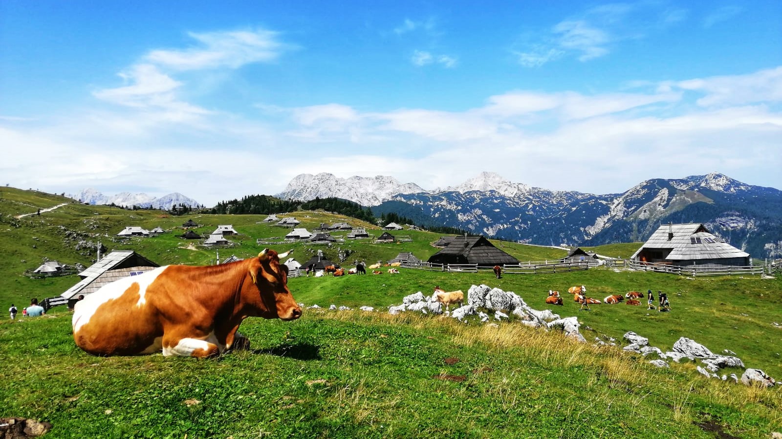 Velika planina and medieval town Kamnik & Visit Ljubljana