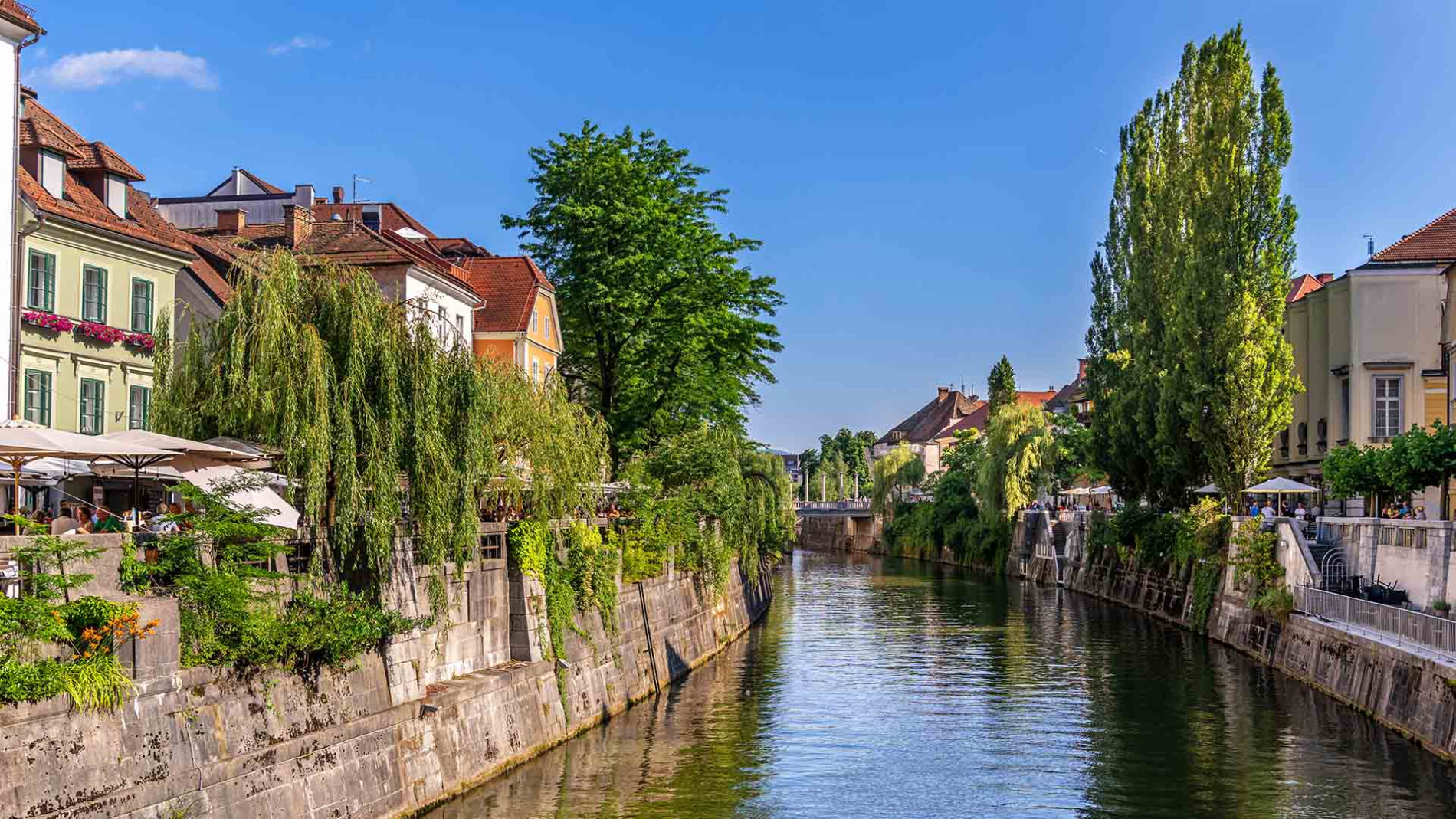 Visite de la vieille ville de Ljubljana & Visit Ljubljana