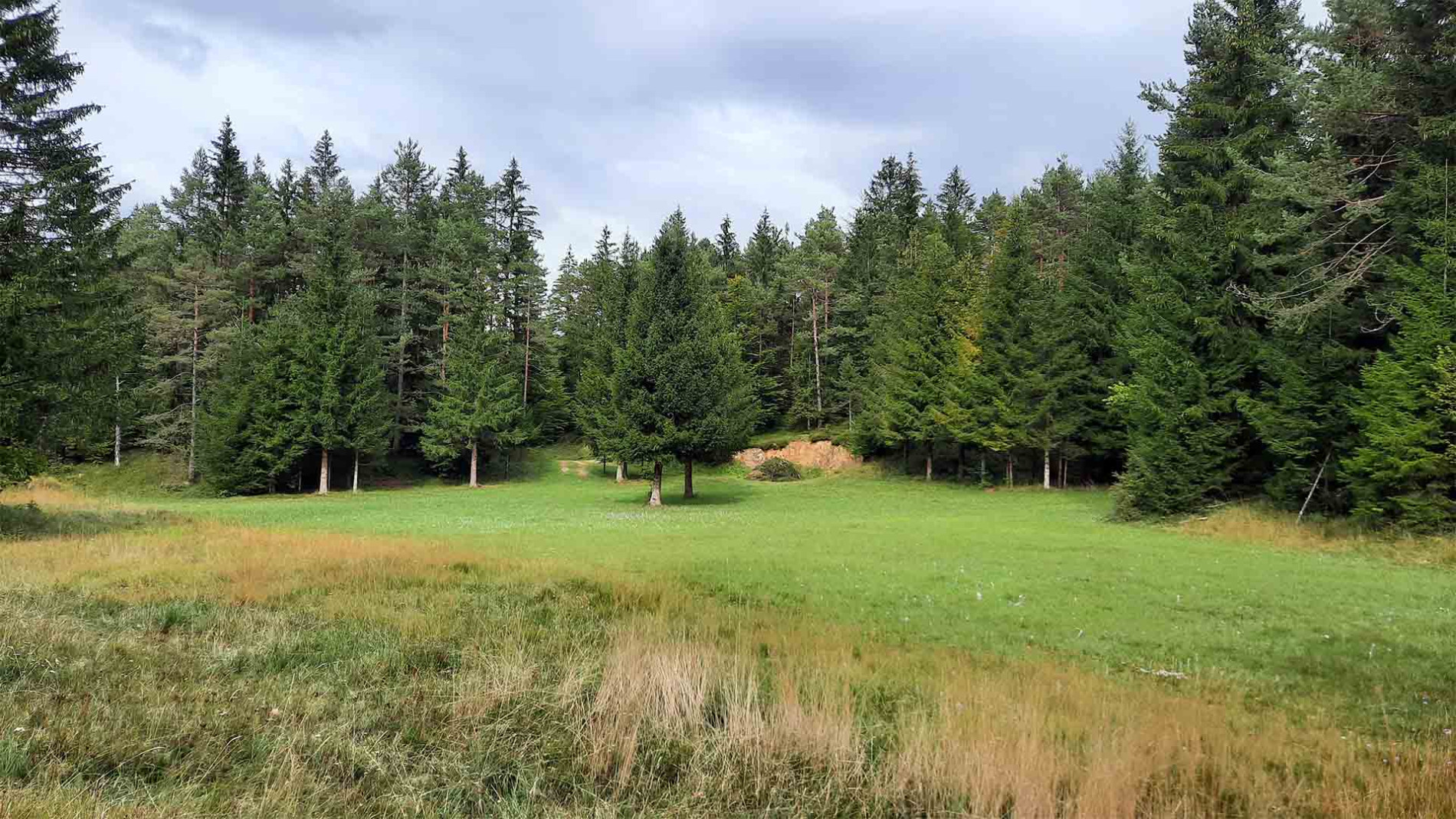 Rakitna Forest and Archaeological Learning Trail (789 m) & Visit Ljubljana
