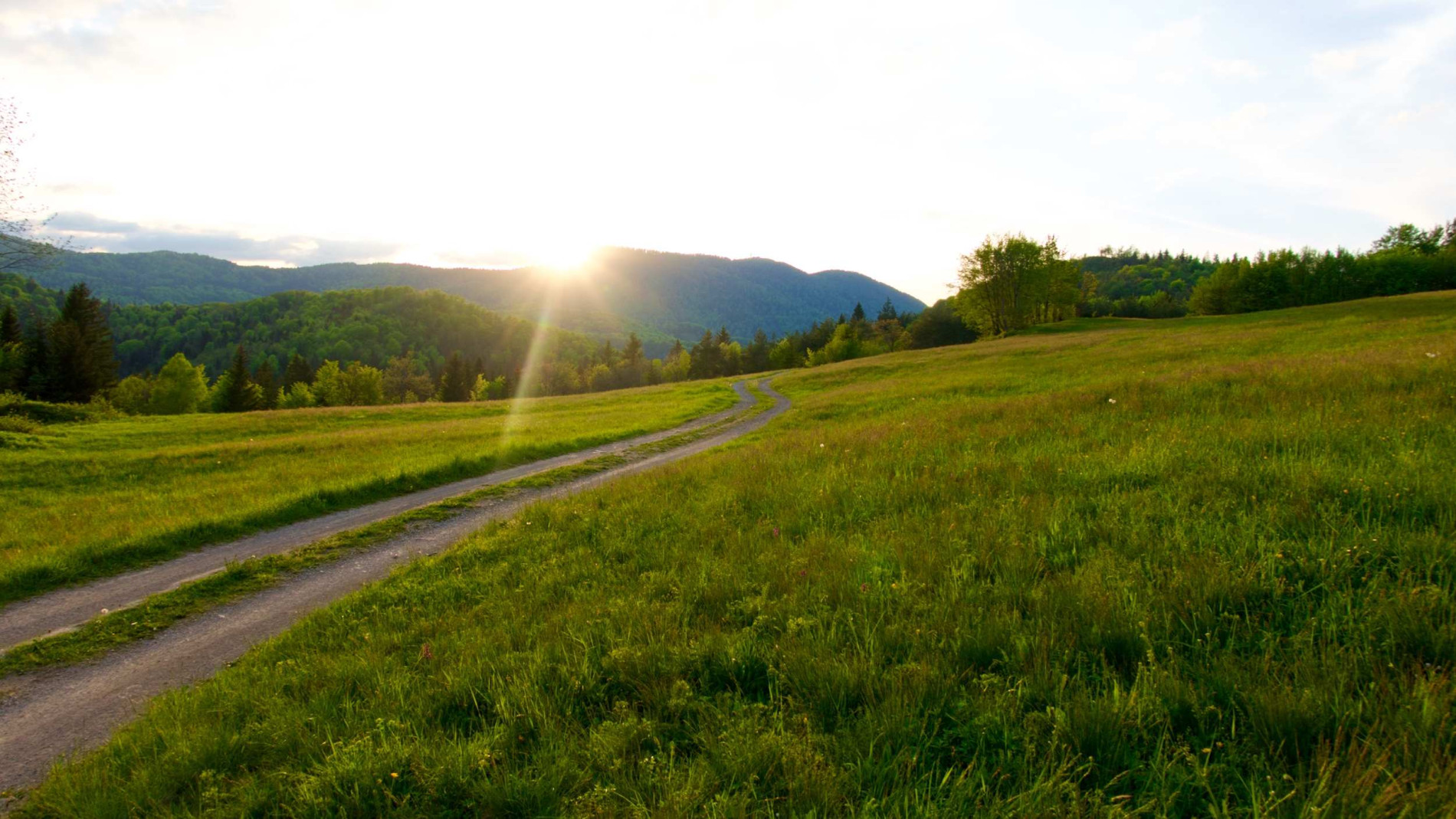 On the southern slopes of the Ljubljana Marshes & Visit Ljubljana