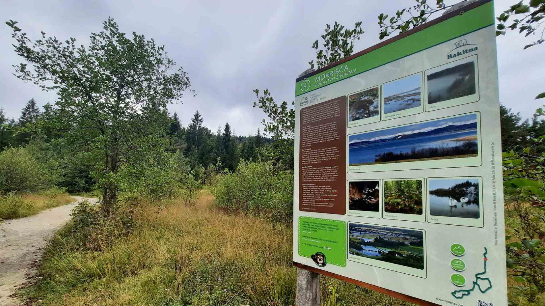 Rakitna Forest and Archaeological Learning Trail (789 m) & Visit Ljubljana