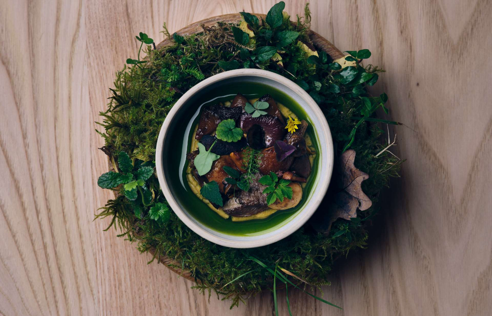 Esperienza gastronomica nel verde entroterra di Lubiana: dai campi al ...